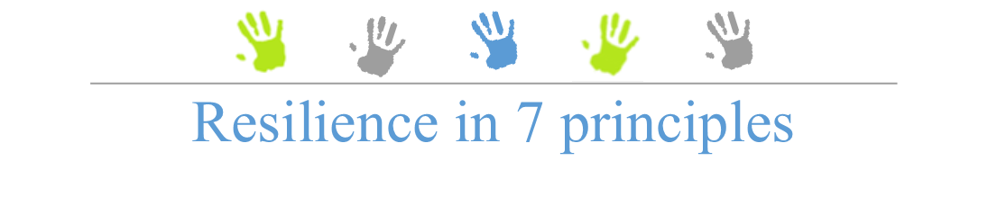 resilience in 7 principles - CERAR